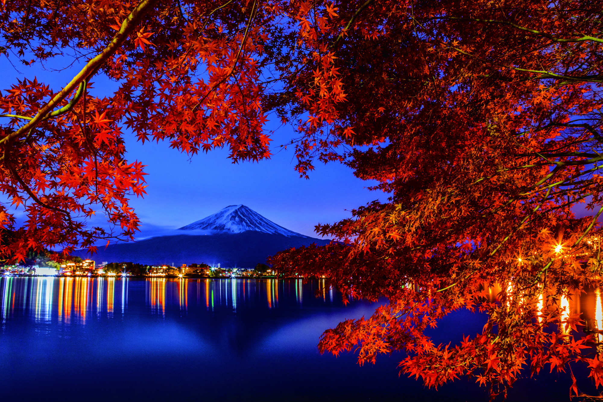 Altimex 003 - INTERPARCOS